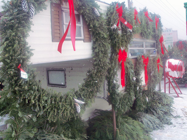 Retail Christmas Trees | High Ground Tree Farm